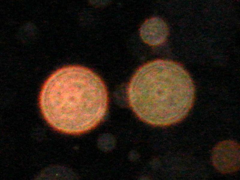 Das Phänomen der ORBs