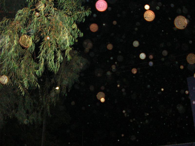 Das Phänomen der ORBs